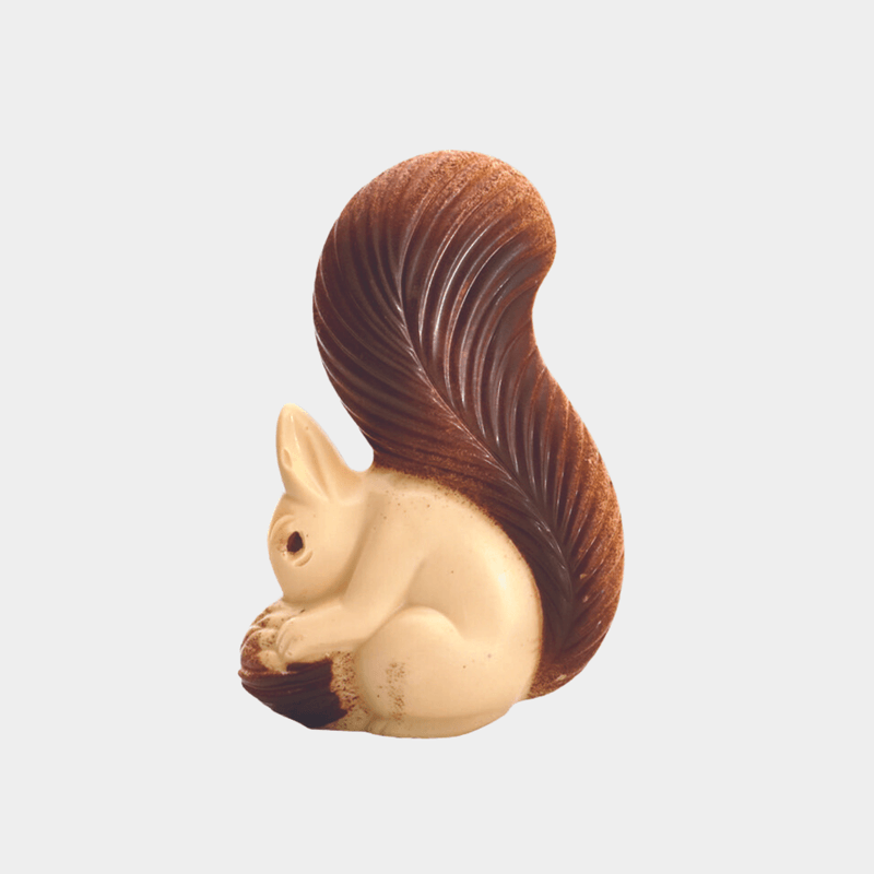 White Chocolate Squirrel 300g | Simón Coll