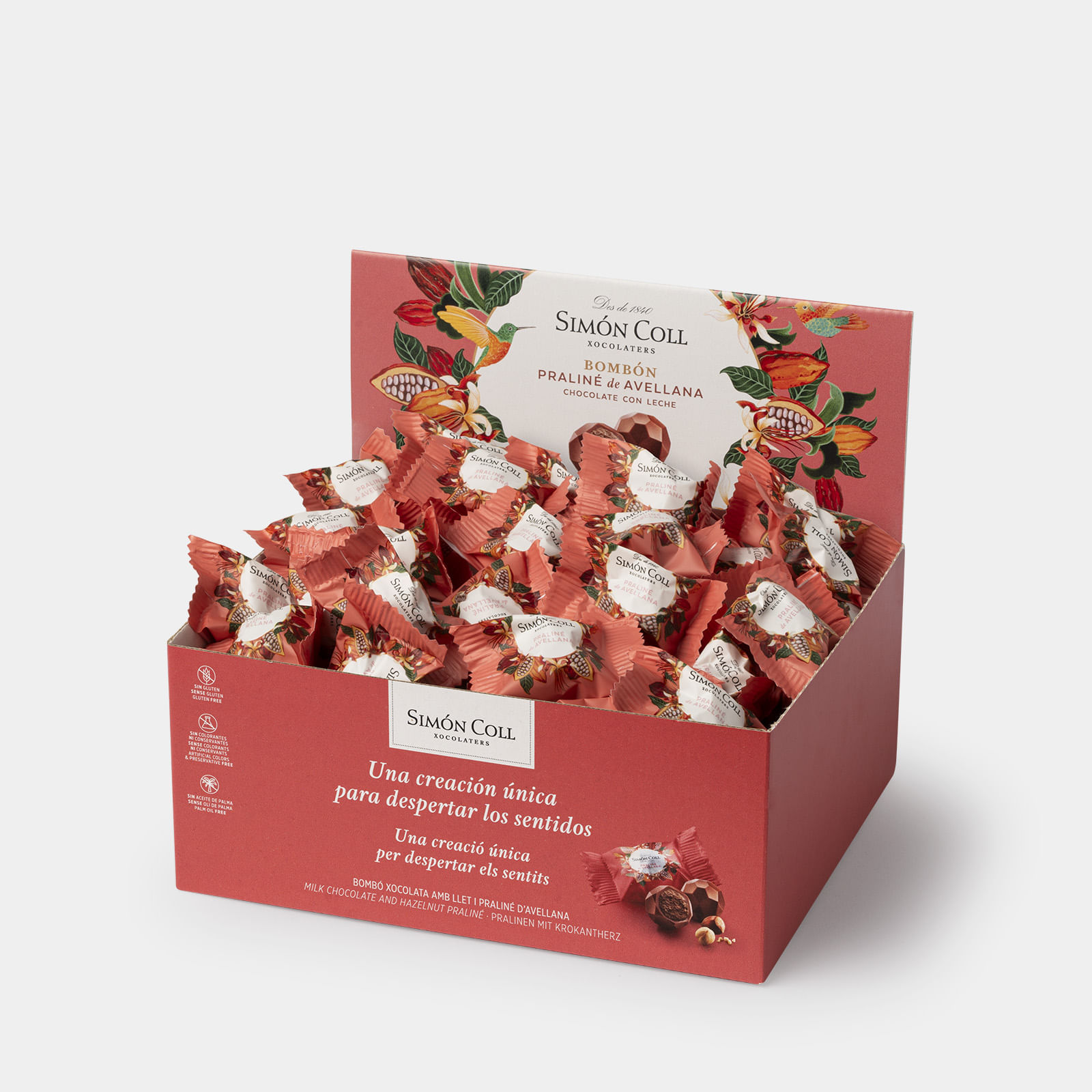 Milk Chocolate with Hazelnut Praline Display 900g | Simón Coll